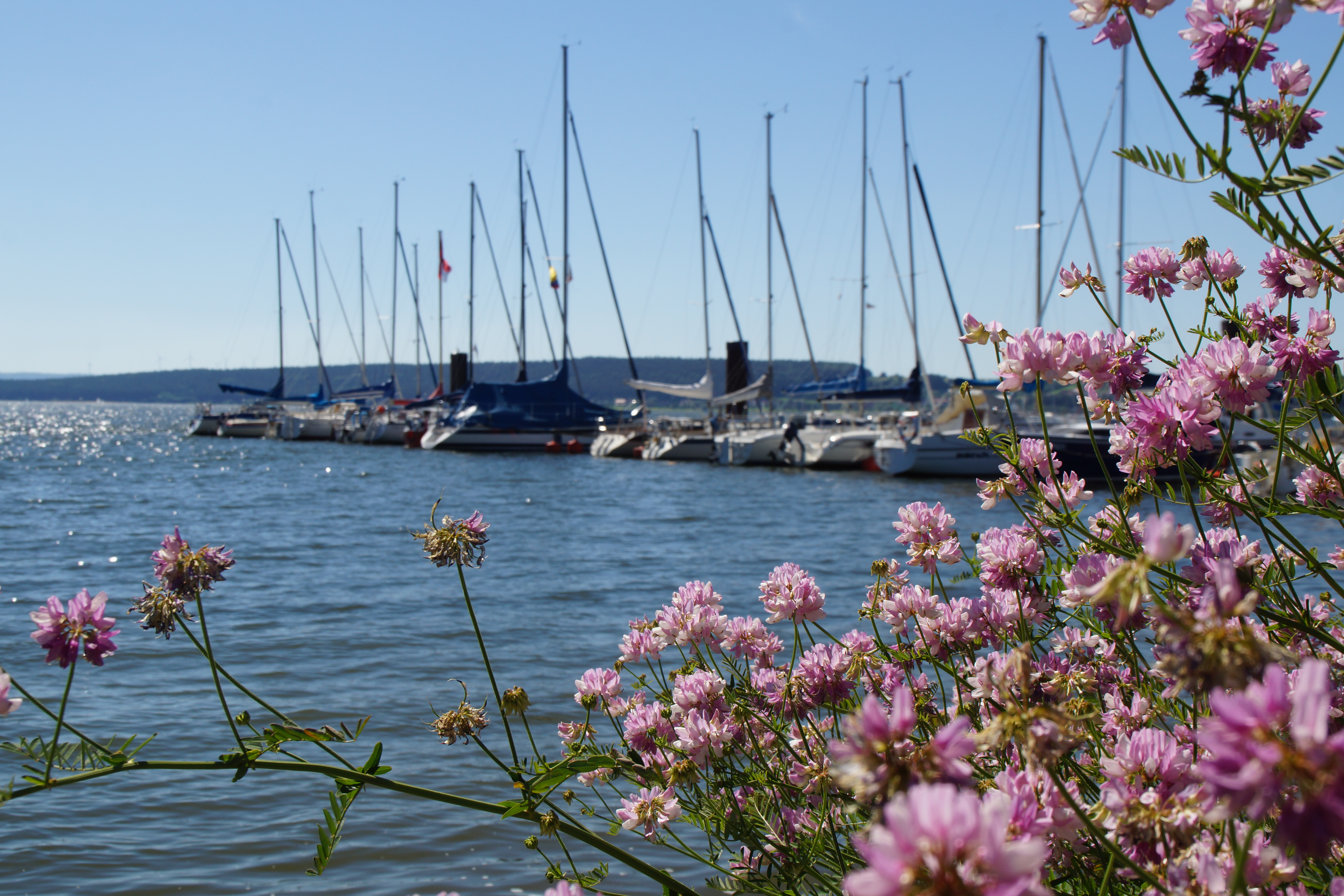 Rothsee – Fränkisches Seenland – Seen.Land.Blog